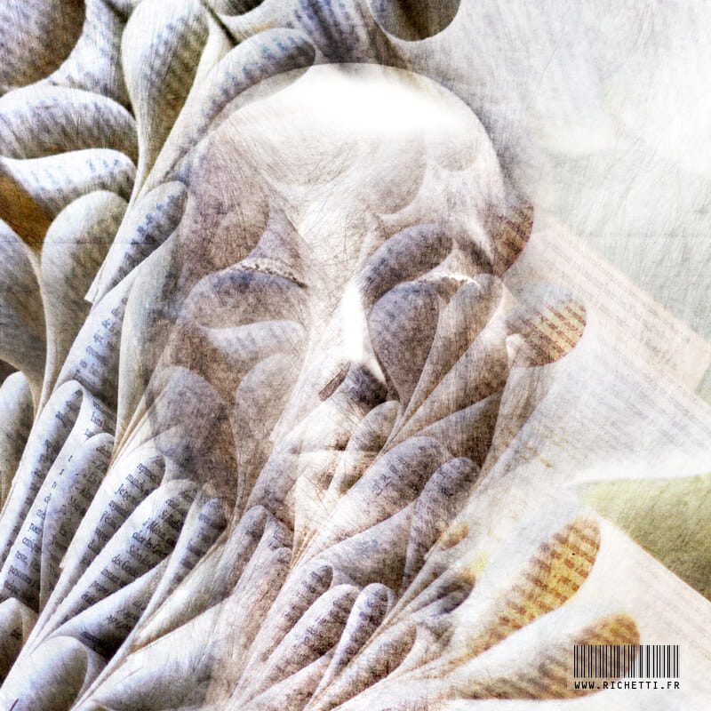 Littérature, version préliminaire (Gynoïde 85N2) ~ Estampe numérique ...